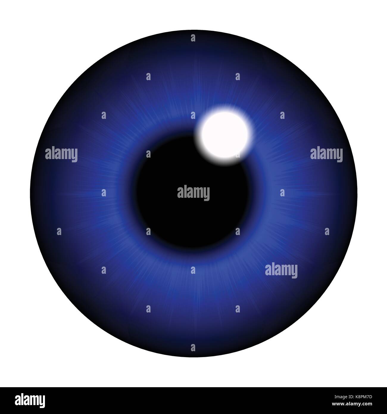 The pupil of the eye, eye ball. Realistic vector illustration isolated ...