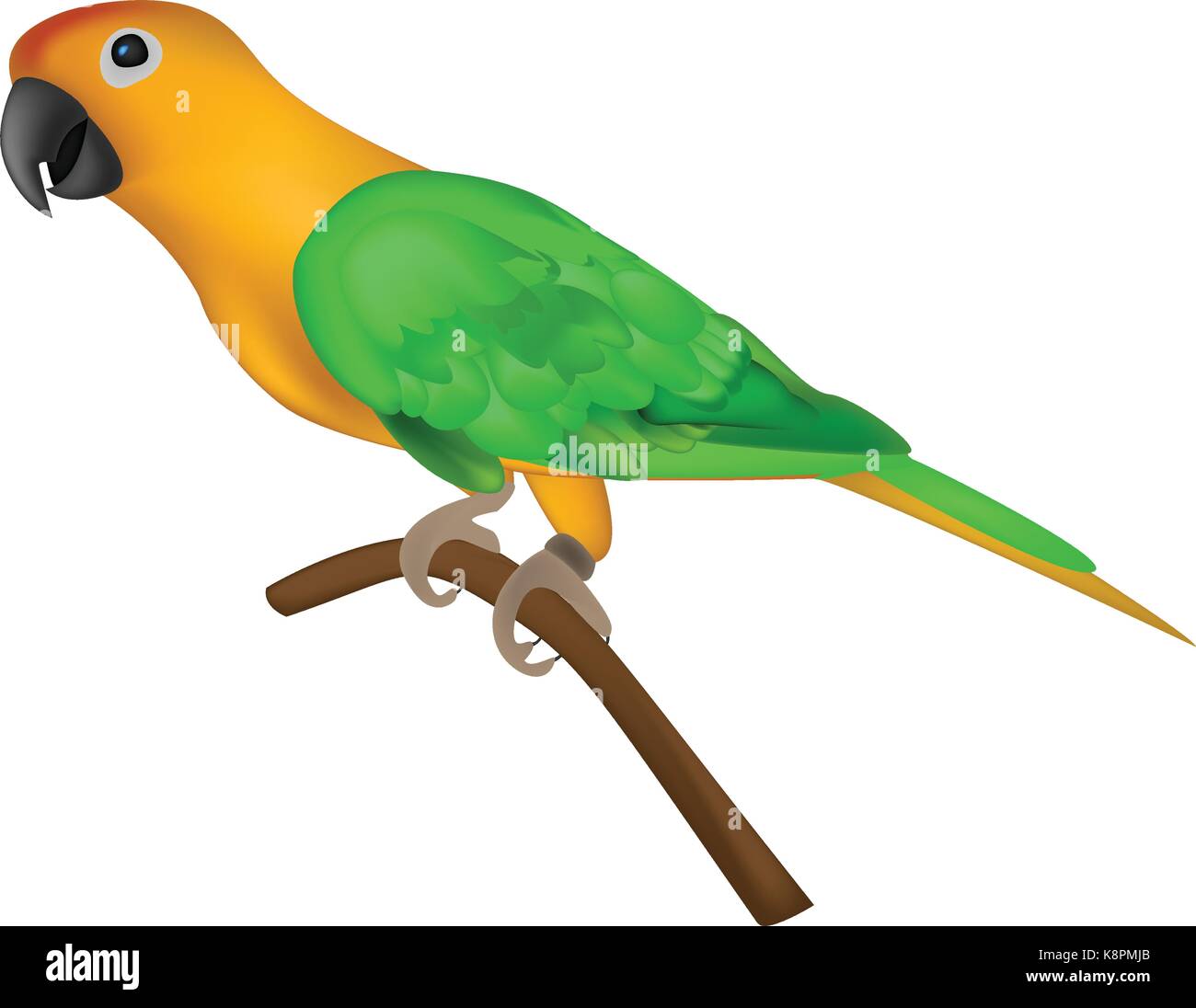 Parrot vector vectors hi-res stock photography and images - Alamy