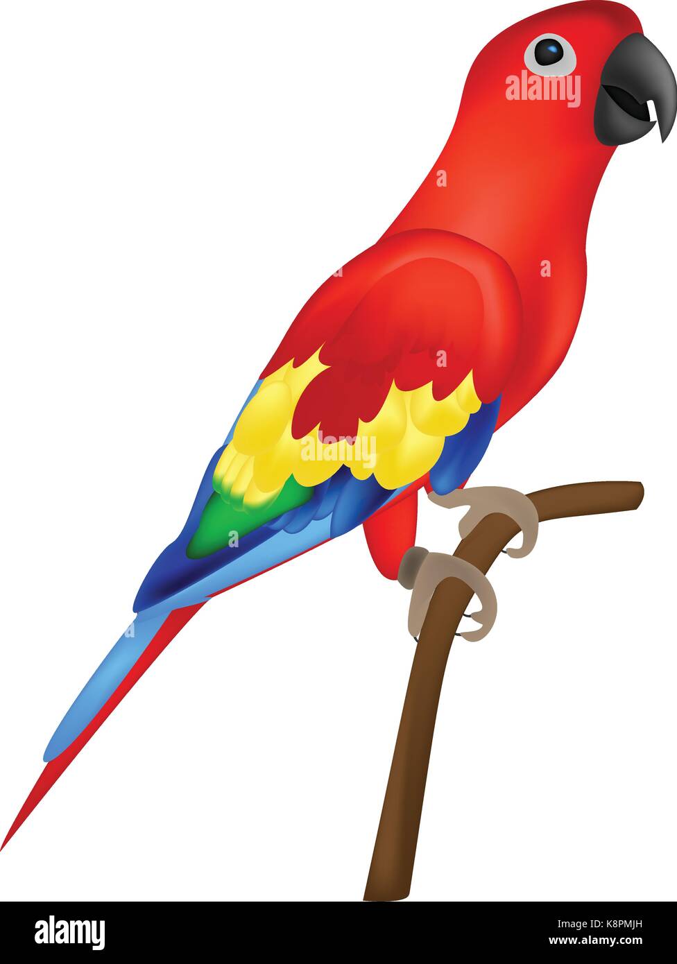 Beautiful colorful parrot isolated on white background- vector ...