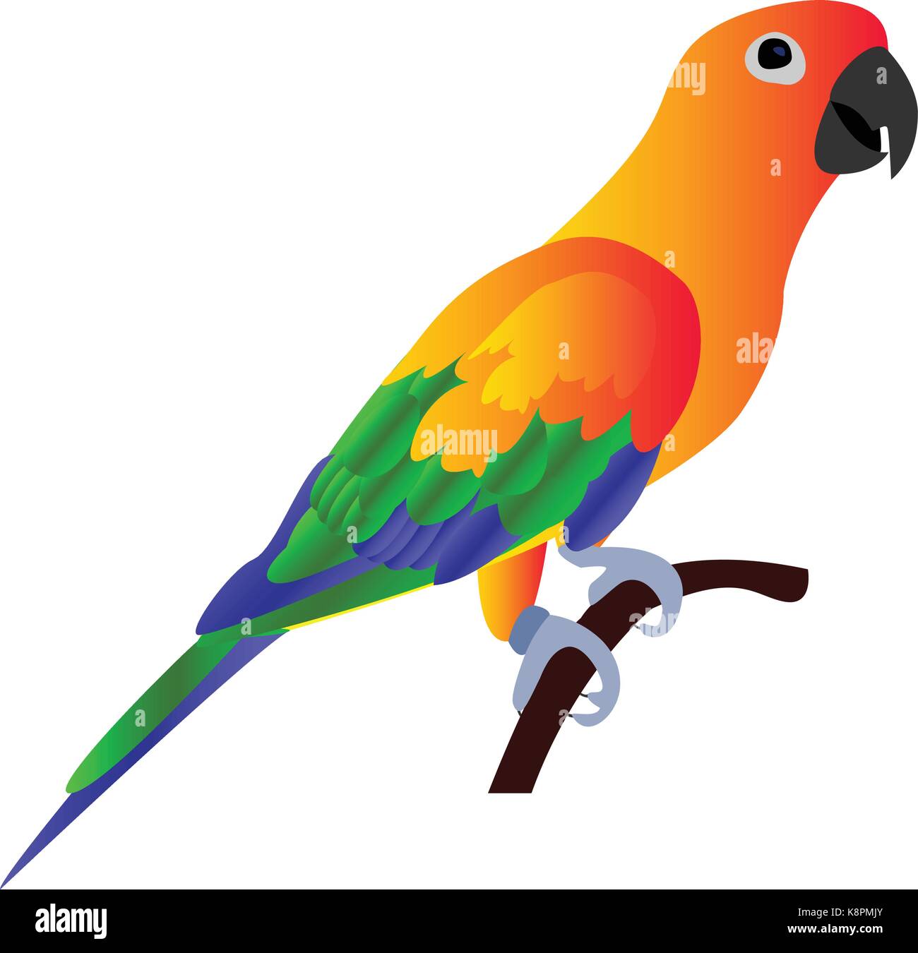 Beautiful colorful parrot isolated on white background- vector ...