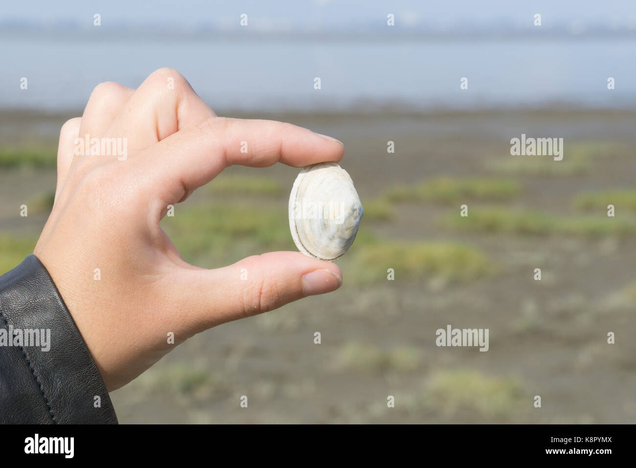 Woman shell hi-res stock photography and images - Alamy