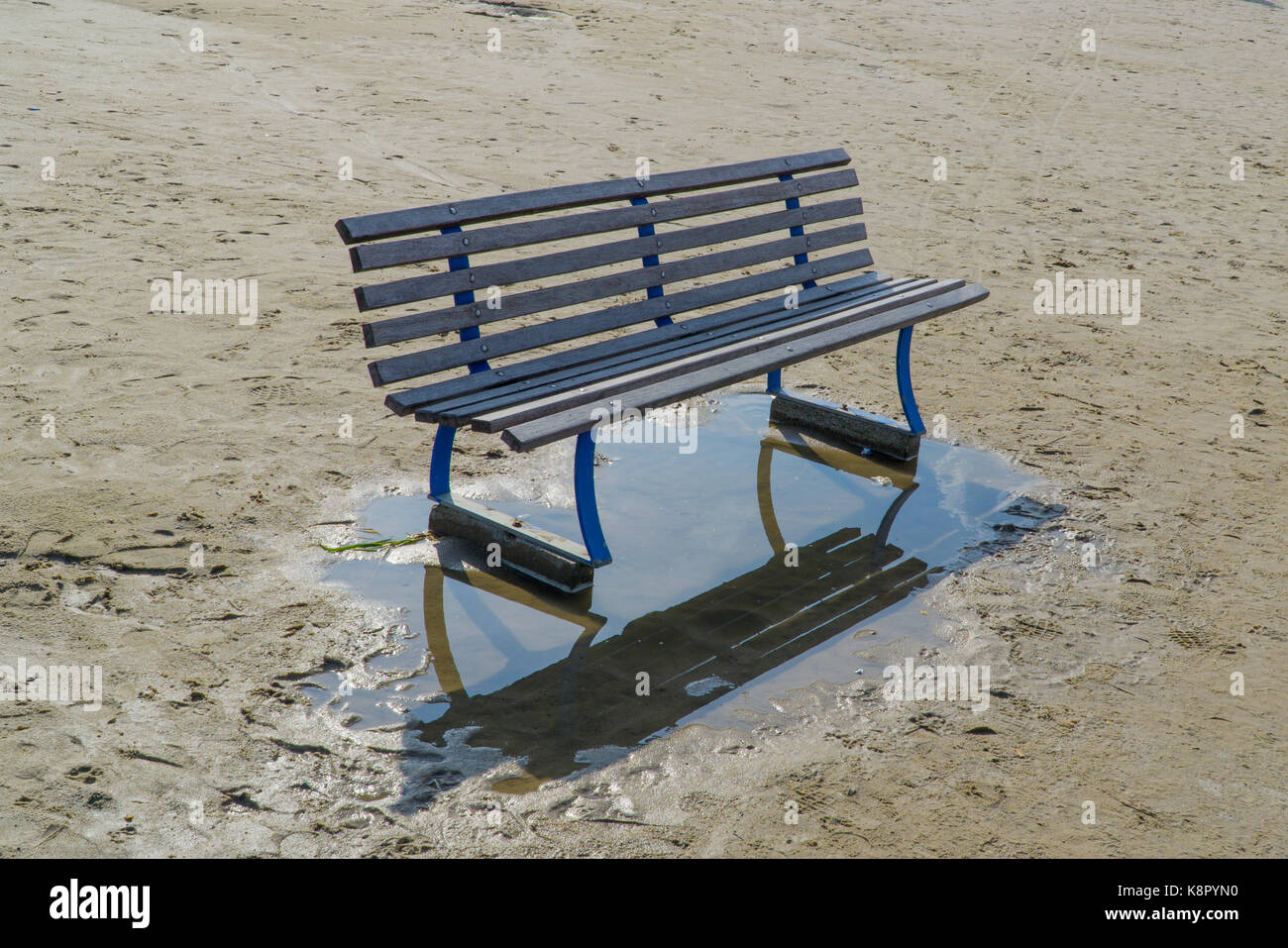 bench on the beach Stock Photo - Alamy