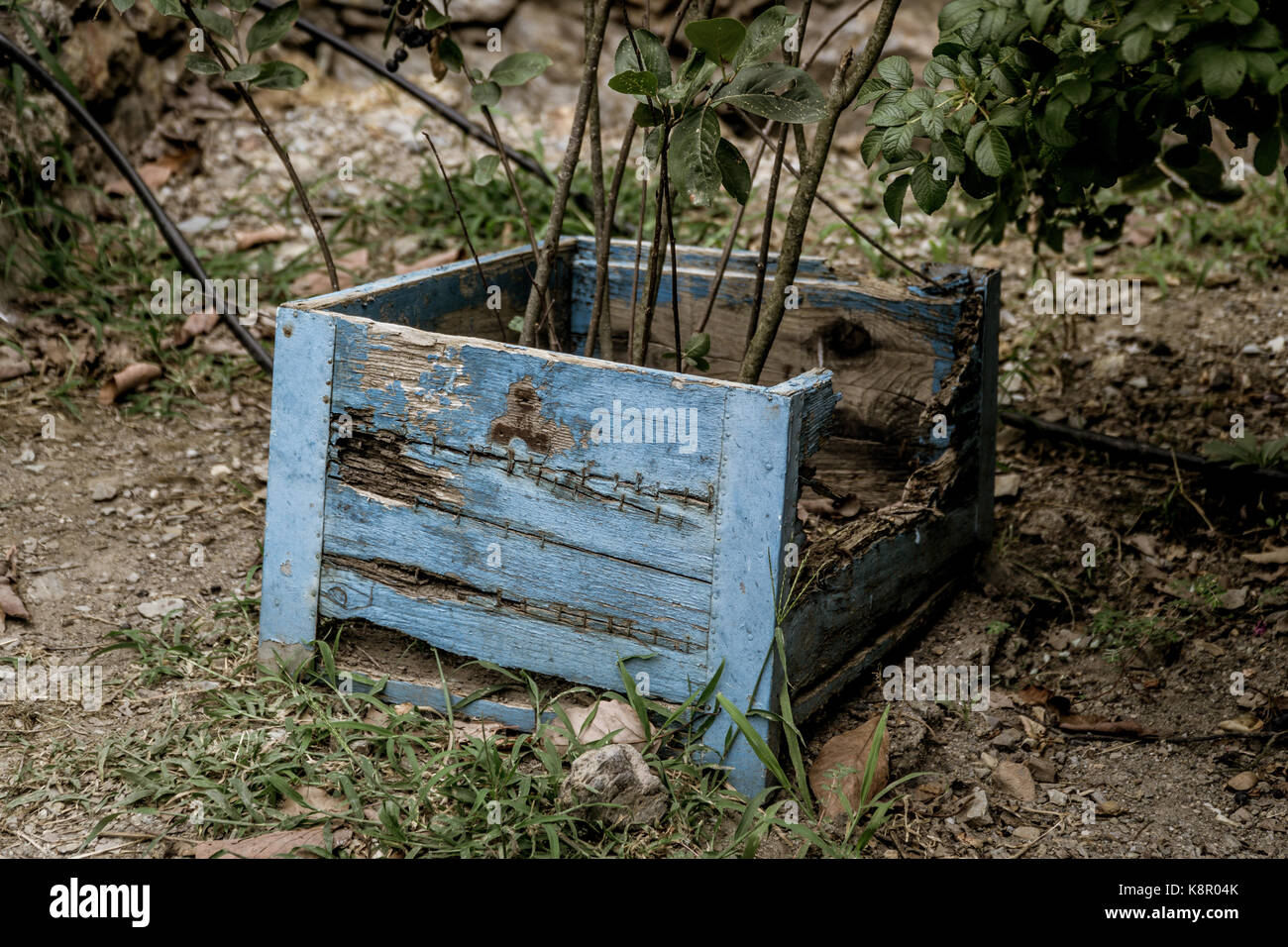 blue vintage wood box Stock Photo - Alamy