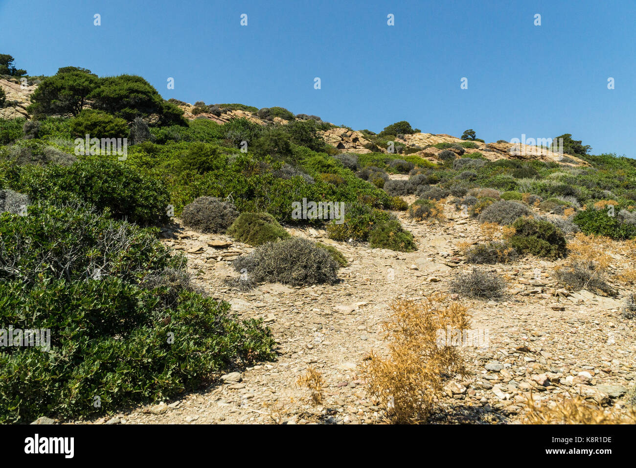 rocks and dryland with some plants Stock Photo - Alamy