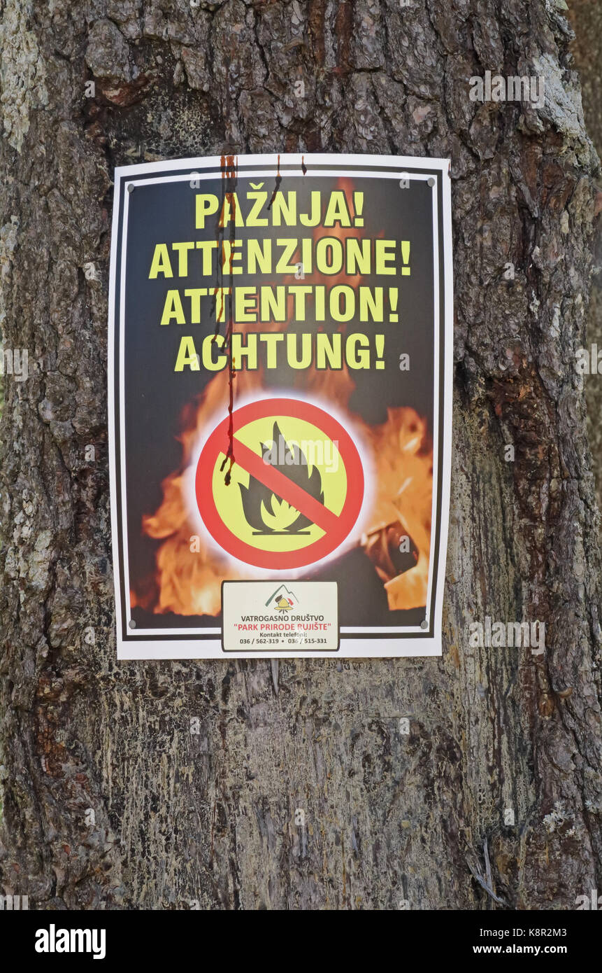 sign warning of forest fire danger, with tree sap running down it Prenj ...
