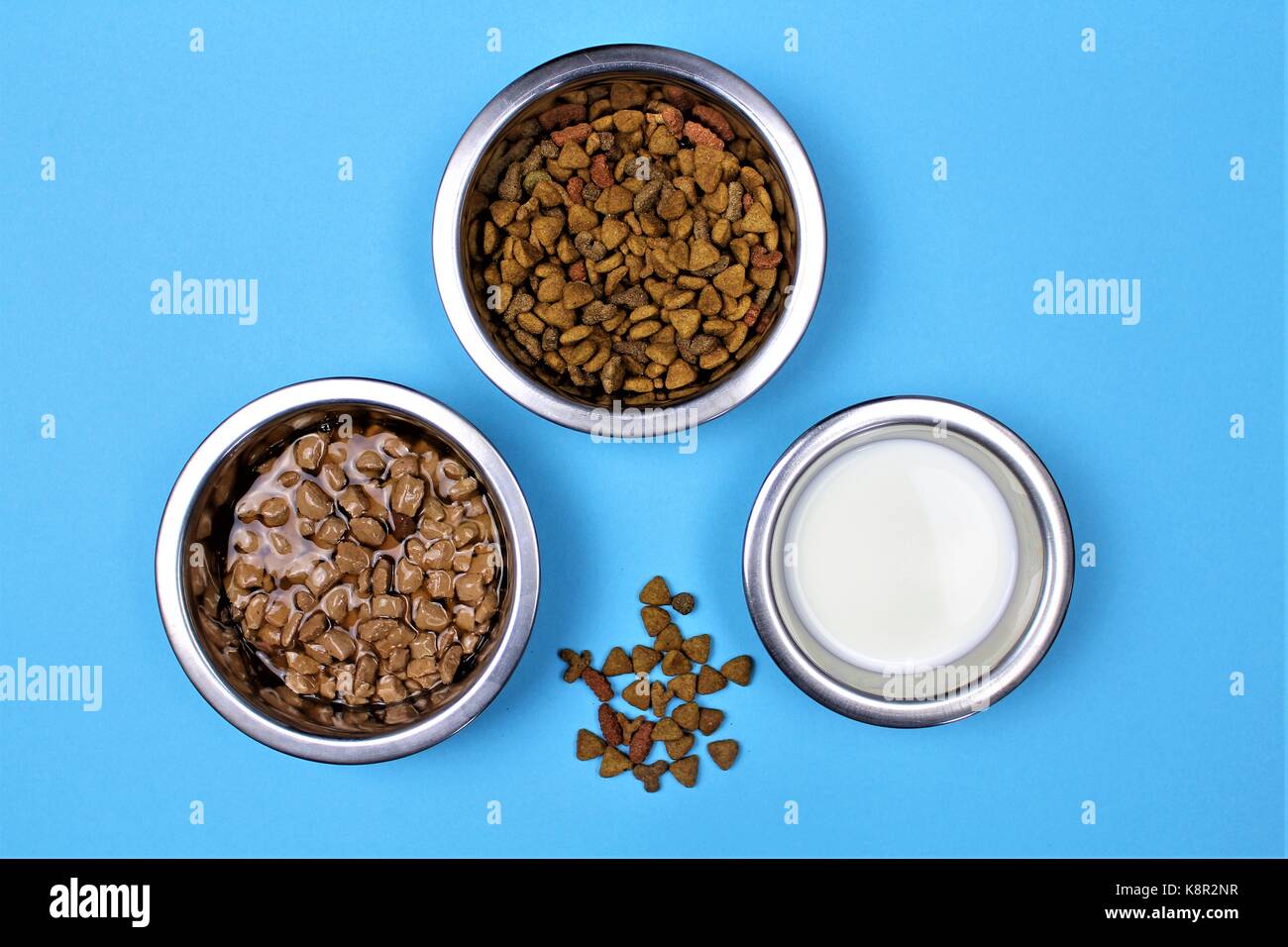 An Image of cat food with colorful background Stock Photo - Alamy