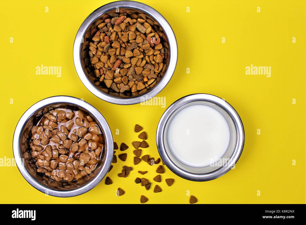 An Image of cat food with colorful background Stock Photo - Alamy