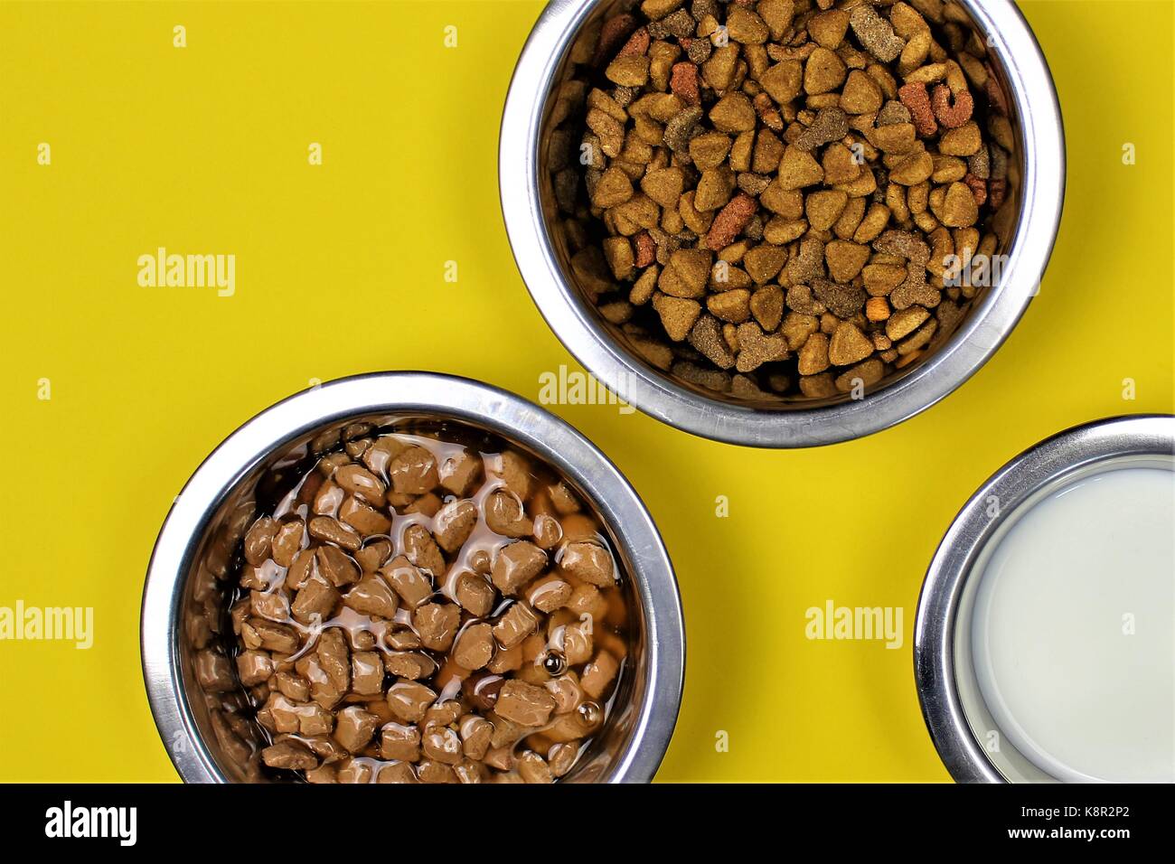 An Image of cat food with colorful background Stock Photo - Alamy