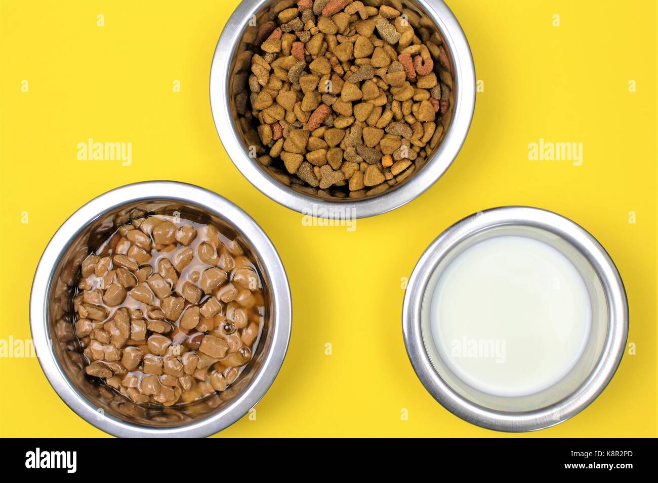 An Image of cat food with colorful background Stock Photo - Alamy