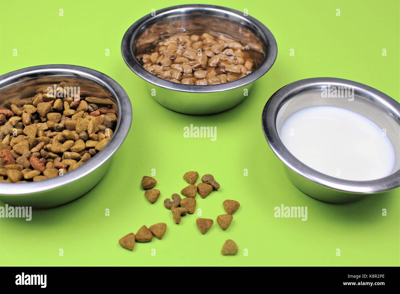An Image of cat food with colorful background Stock Photo - Alamy