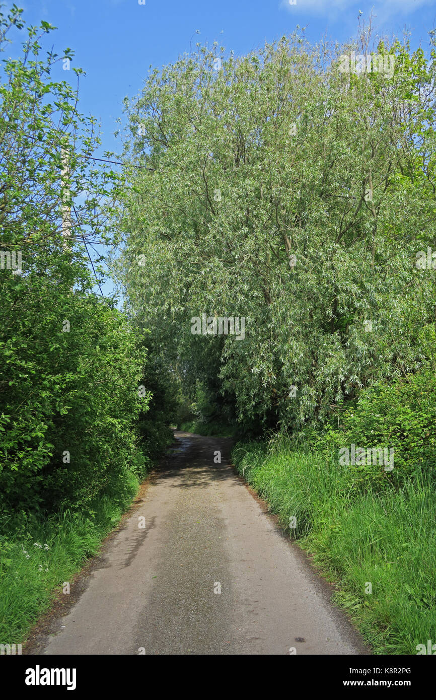 Eccles on sea hi-res stock photography and images - Alamy