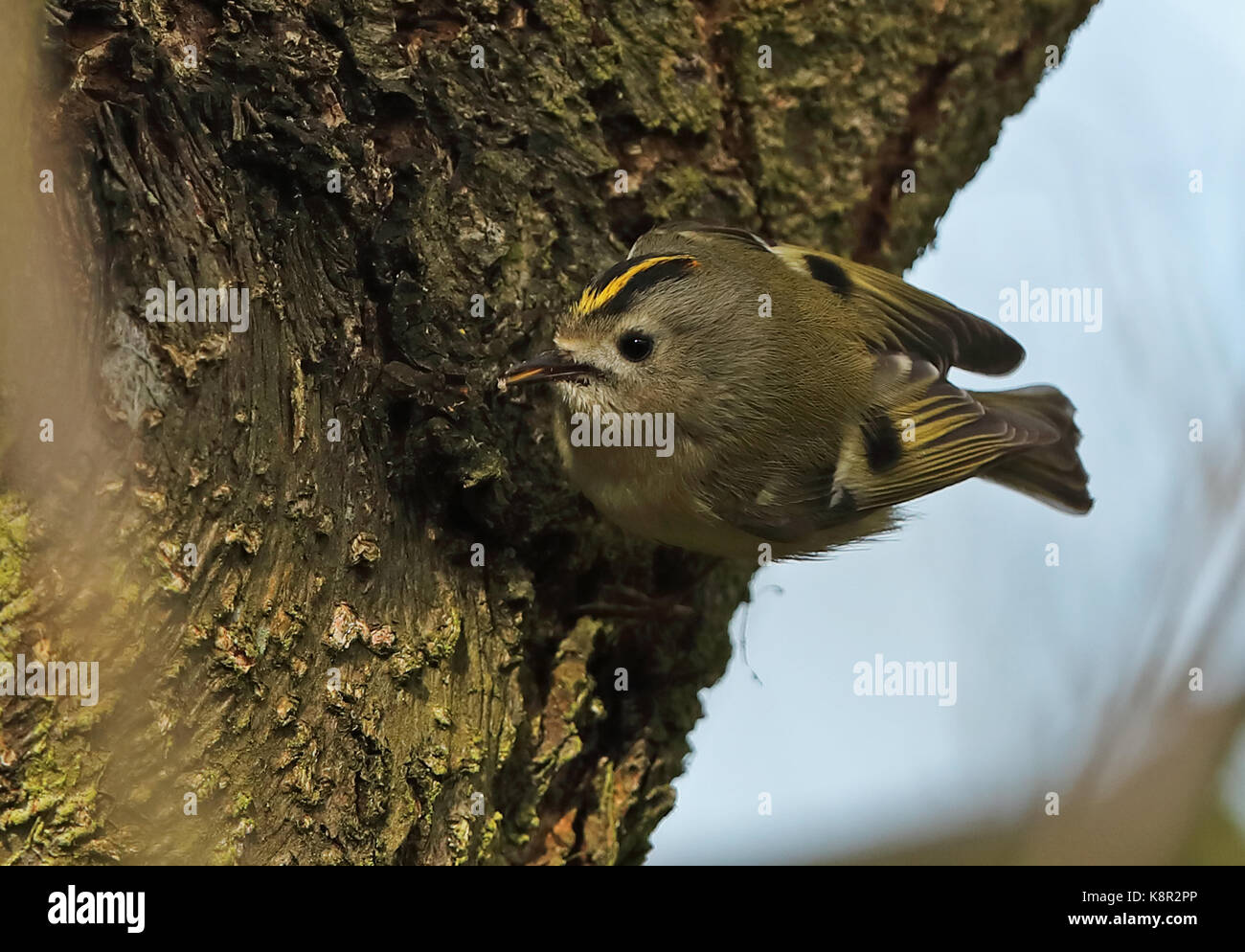 Eccles on sea hi-res stock photography and images - Alamy