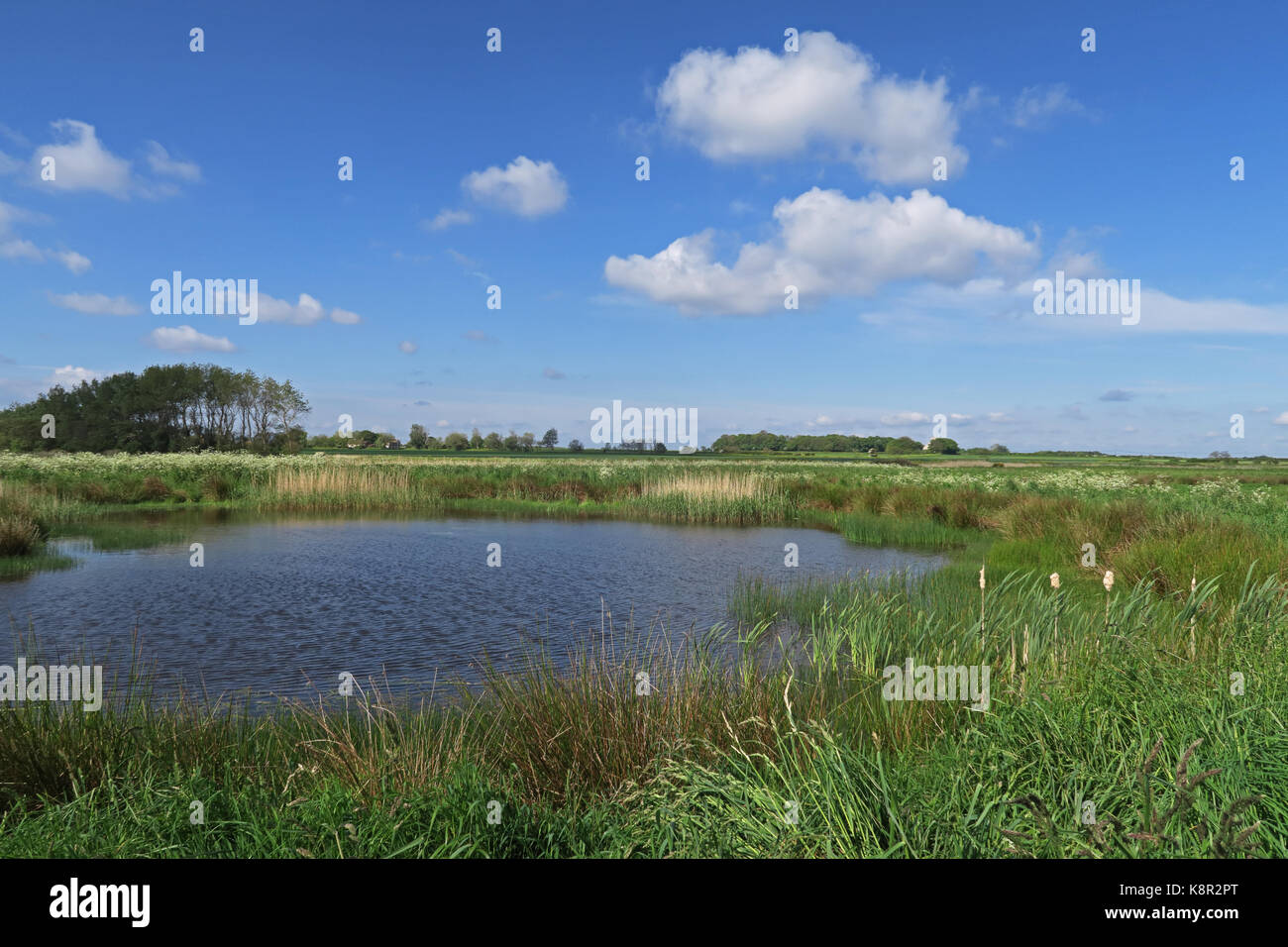 Eccles on sea hi-res stock photography and images - Alamy
