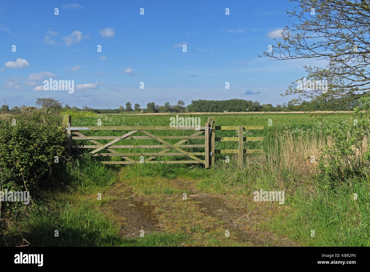 Eccles on sea hi-res stock photography and images - Alamy