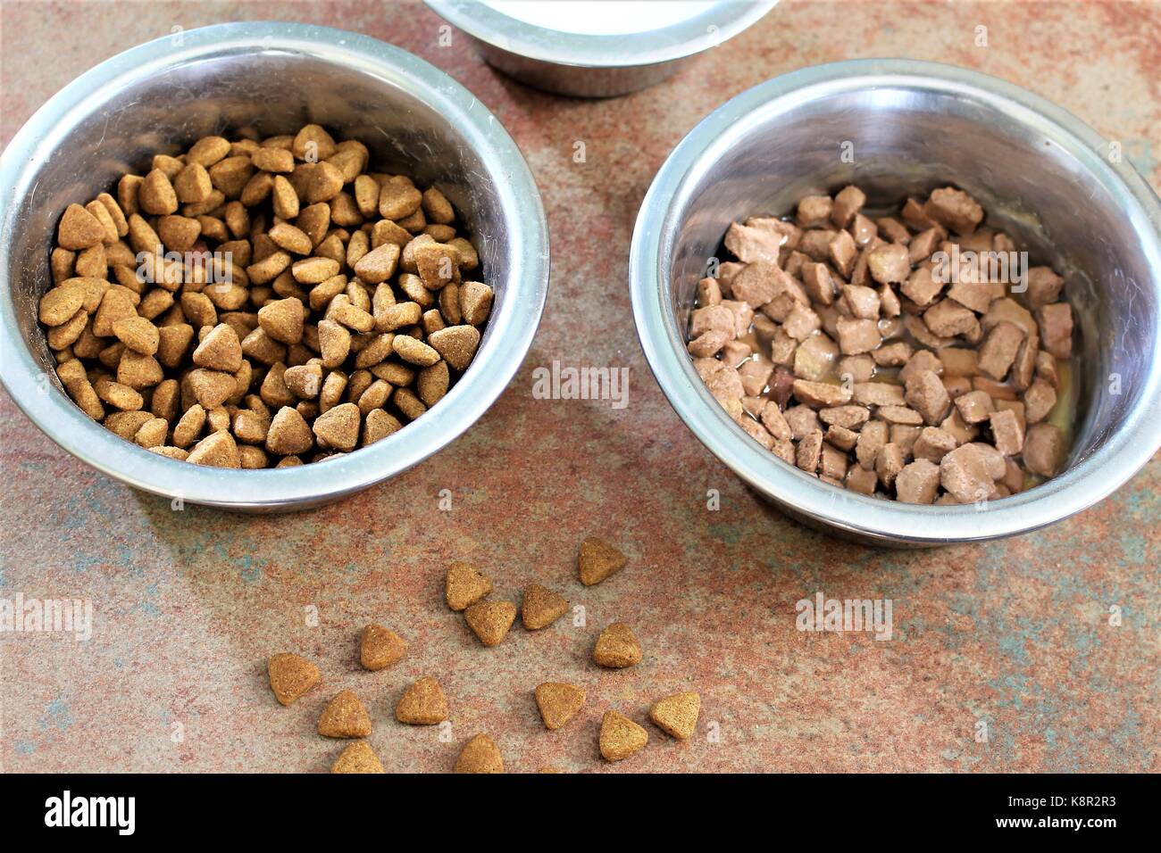 An Image of cat food with colorful background Stock Photo - Alamy