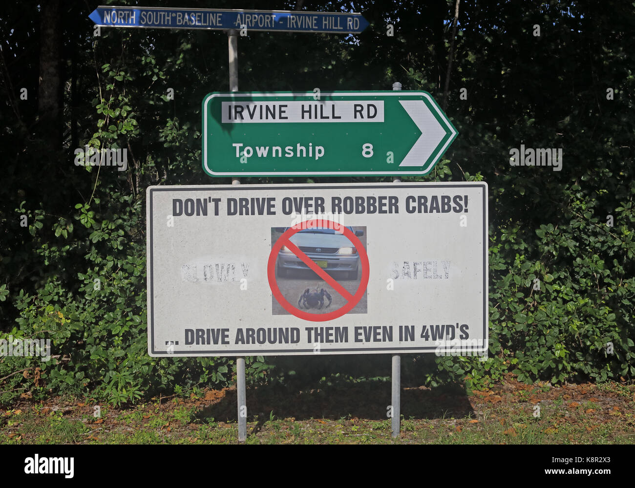 Sign warning of Robber Crabs on road Christmas Island, Australia July ...