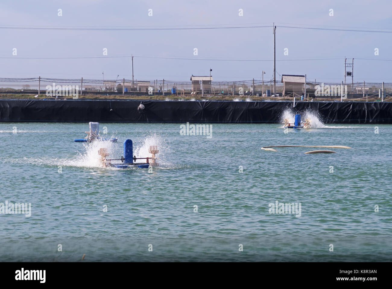 Shrimp farm indonesia hi-res stock photography and images - Alamy