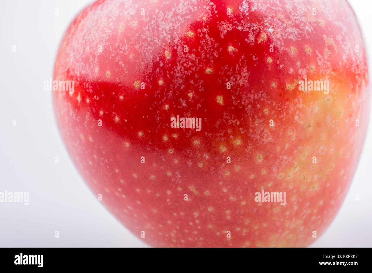 Fat dots hi-res stock photography and images - Alamy