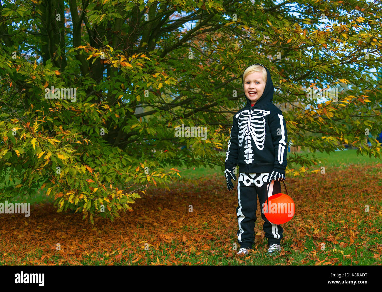 Trick or Treat. Full length portrait of happy child wearing skeleton ...