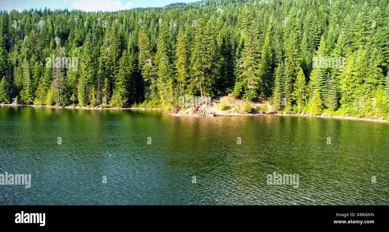 High angle view of river by forest during sunny day Stock Photo - Alamy