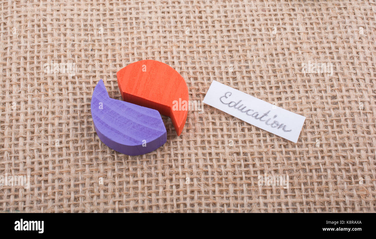 Colorful wooden pieces of a logic puzzle Stock Photo - Alamy