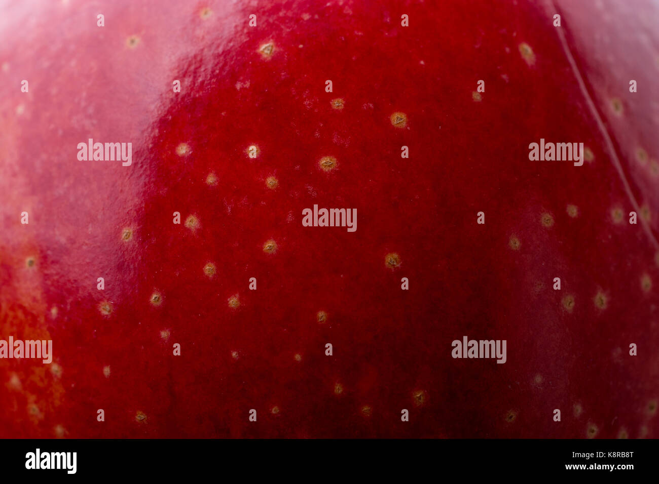 Red apple with dots in close up view Stock Photo - Alamy