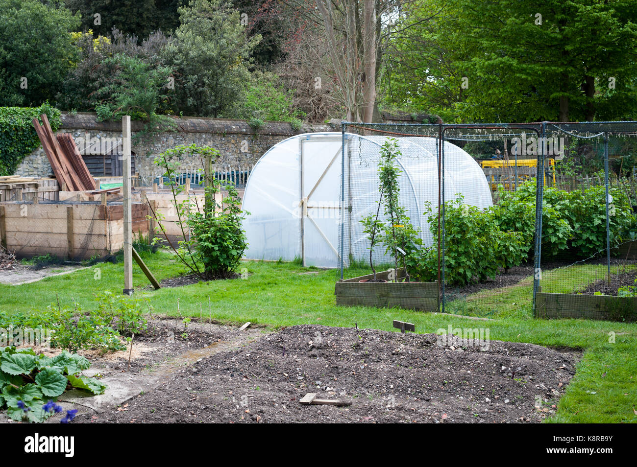 Polytunnel allotment hi-res stock photography and images - Alamy