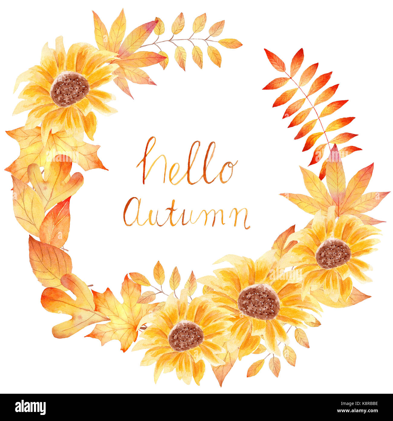 Hello autumn - watercolor hand drawn painting with colorful sunflowers ...