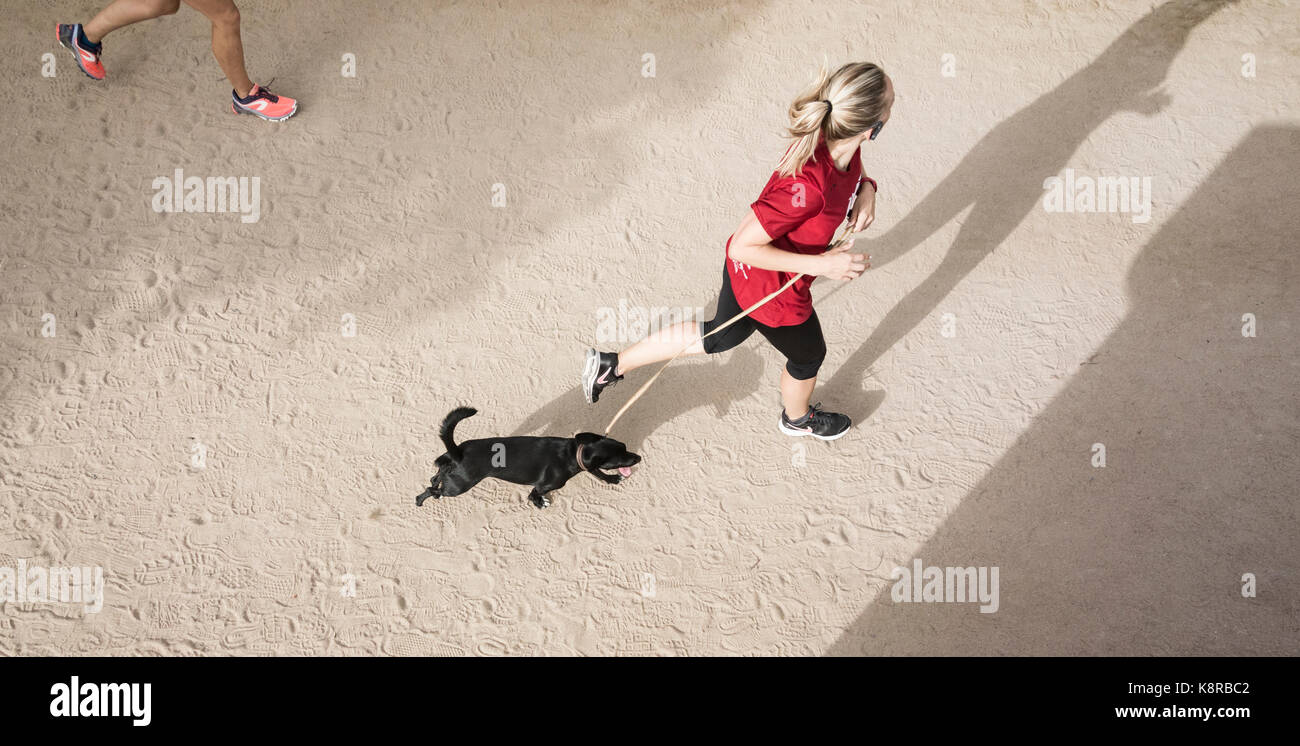 Young woman jogging with dogs Stock Photo - Alamy