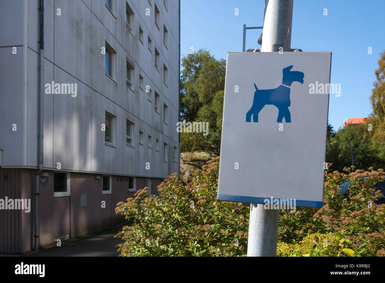 No dog poop sign with apartment building in the background Stock Photo ...