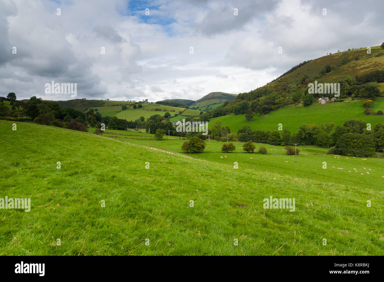 Tanat valley hi-res stock photography and images - Alamy