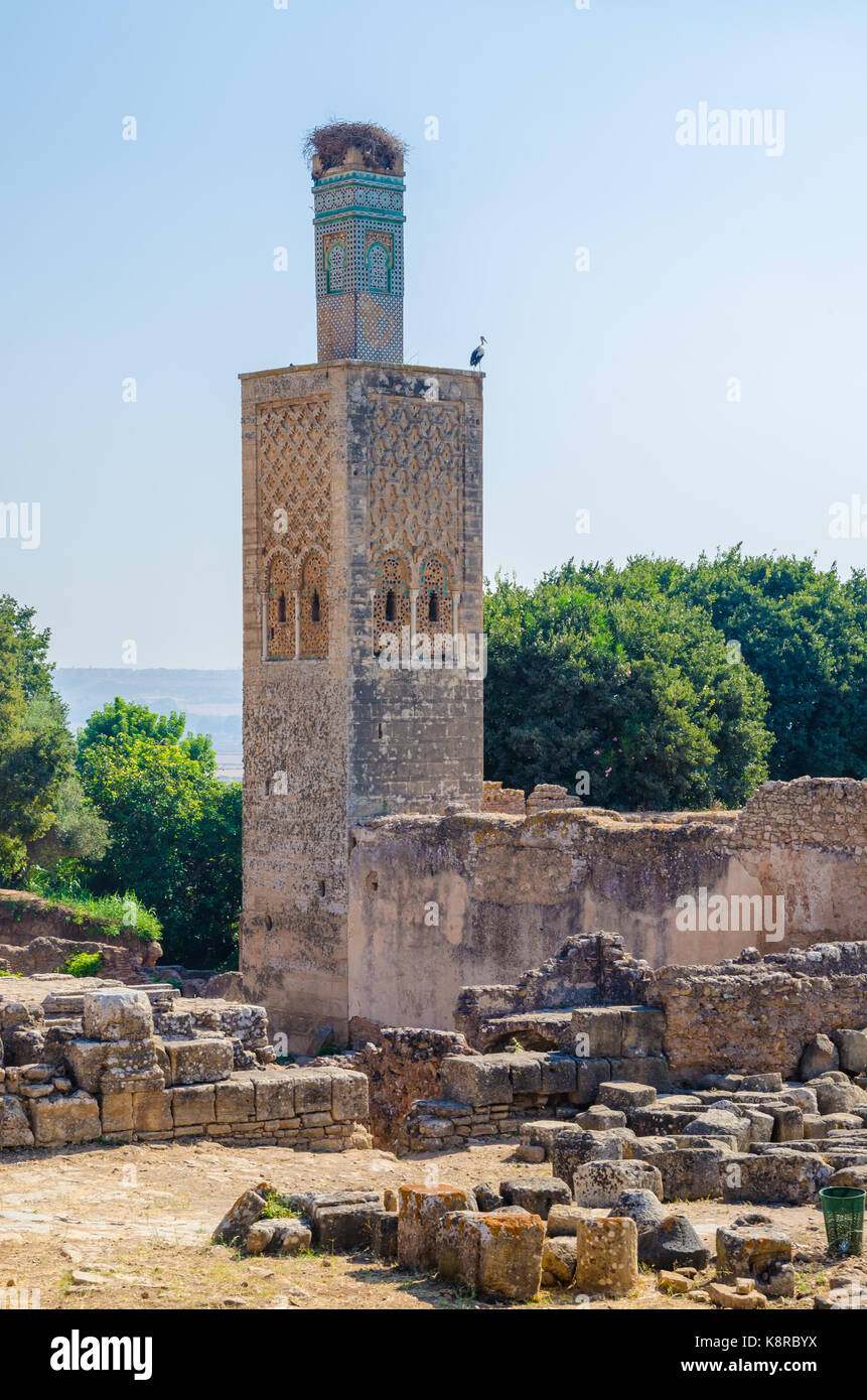 Ancient Chellah Necropolis ruins with mosque and mausoleum in Morocco's ...