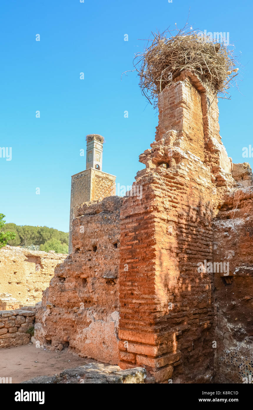 Ancient Chellah Necropolis ruins with mosque and mausoleum in Morocco's ...