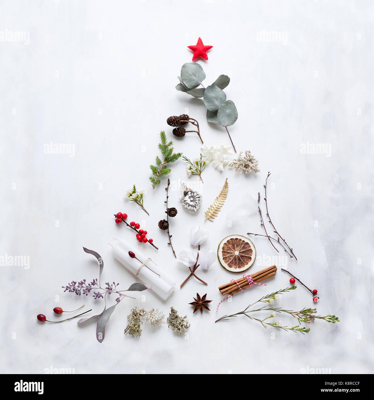 Eucalyptus tree above hi-res stock photography and images - Alamy