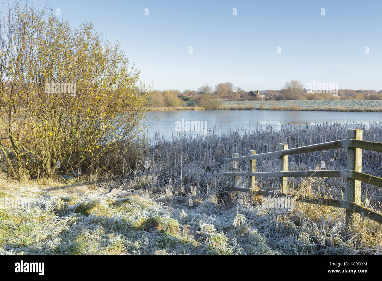 View of frozen pond with Autumn tree colour, frosted gate and distant ...
