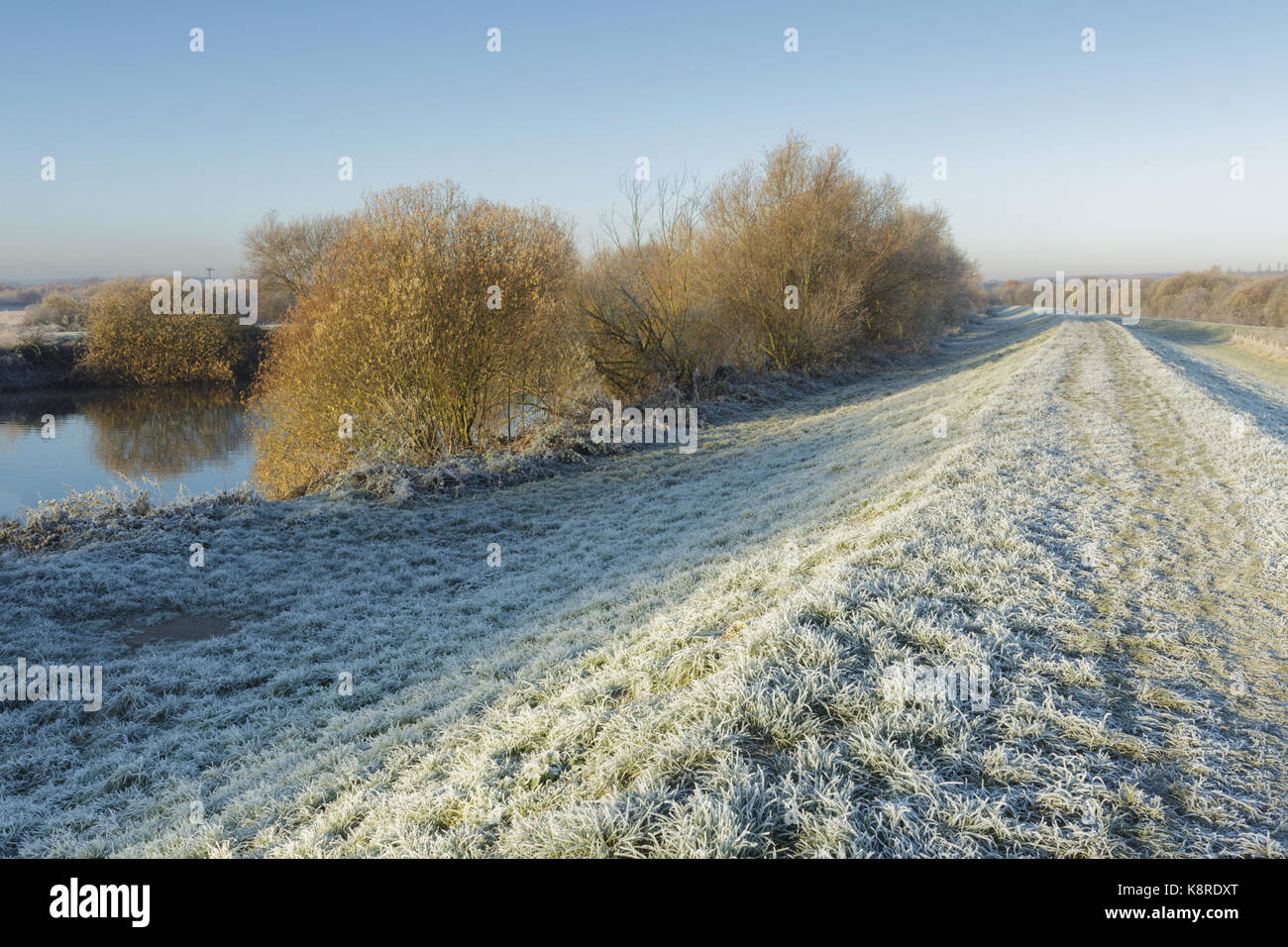 View of frosted grassy bank by River Aire with trees showing Autumn ...