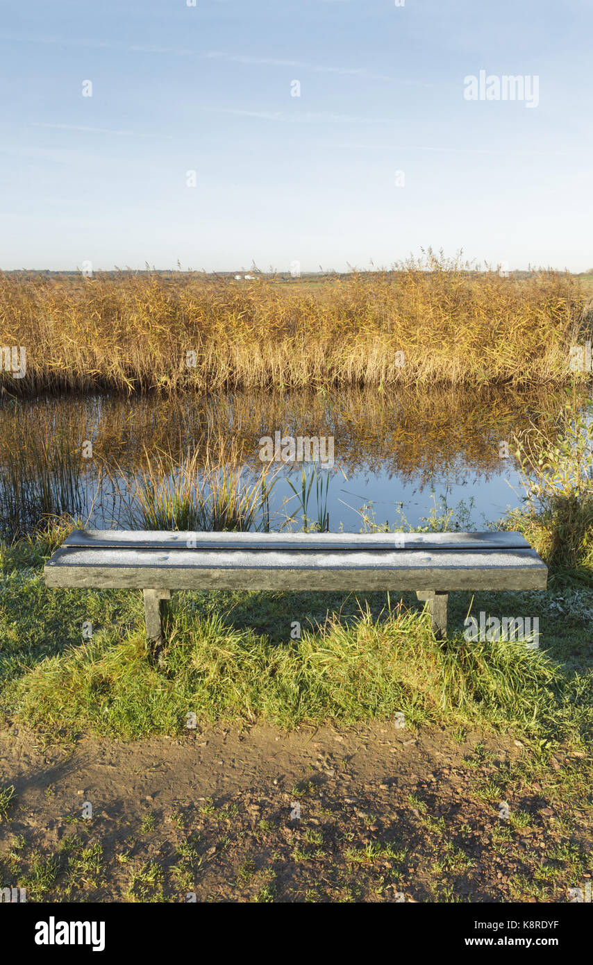 Frosted wooden bench at edge of pool, on site of former opencast coal ...