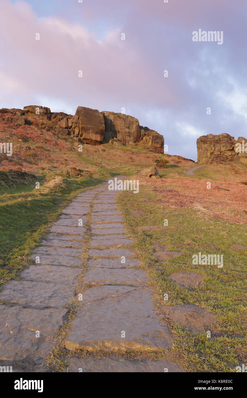 View of stone path, bracken and rocks on moorland habitat, Cow and Calf ...