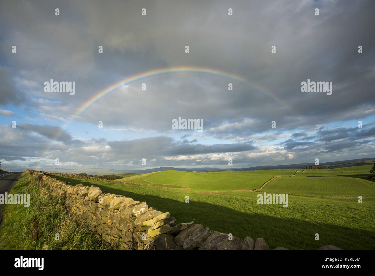 Gressingham hi-res stock photography and images - Alamy
