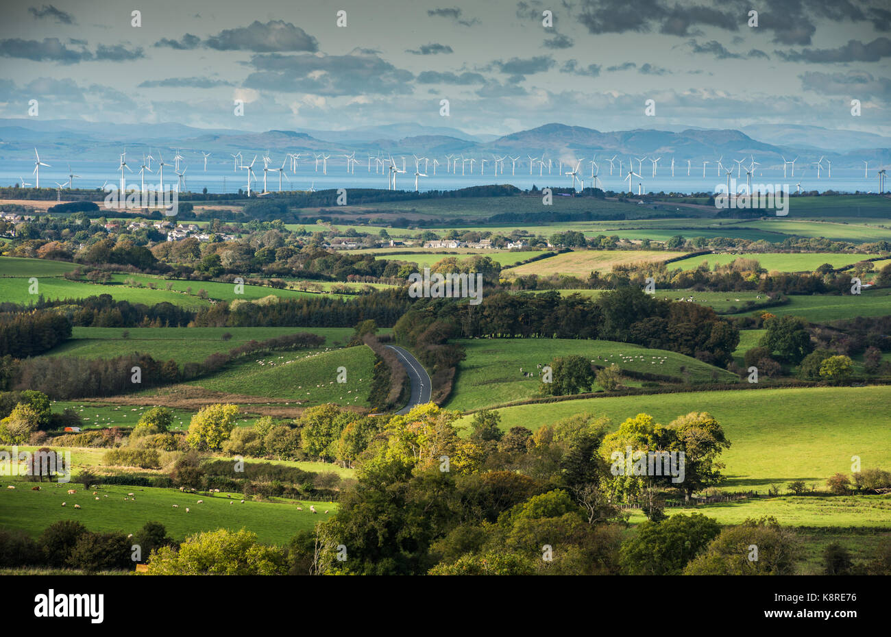 Robin Rigg Wind Farm, Scotland looking from Cumbria Stock Photo - Alamy