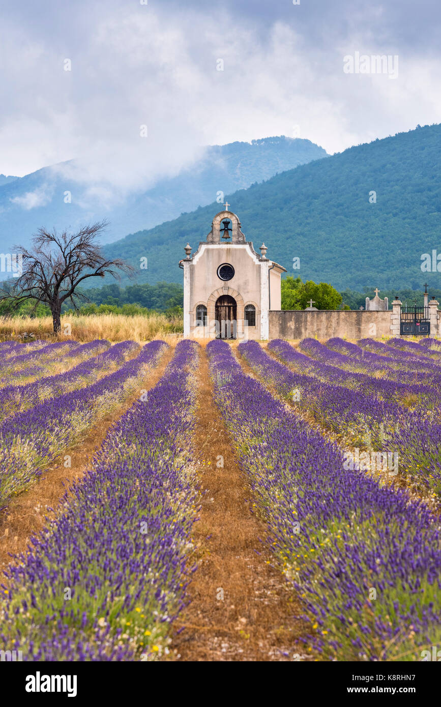 Chapel and a lavender field near Banon, Provence, France Stock Photo ...