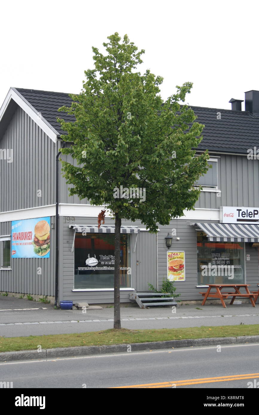 Unsorted plant images (Work in progress Stock Photo - Alamy