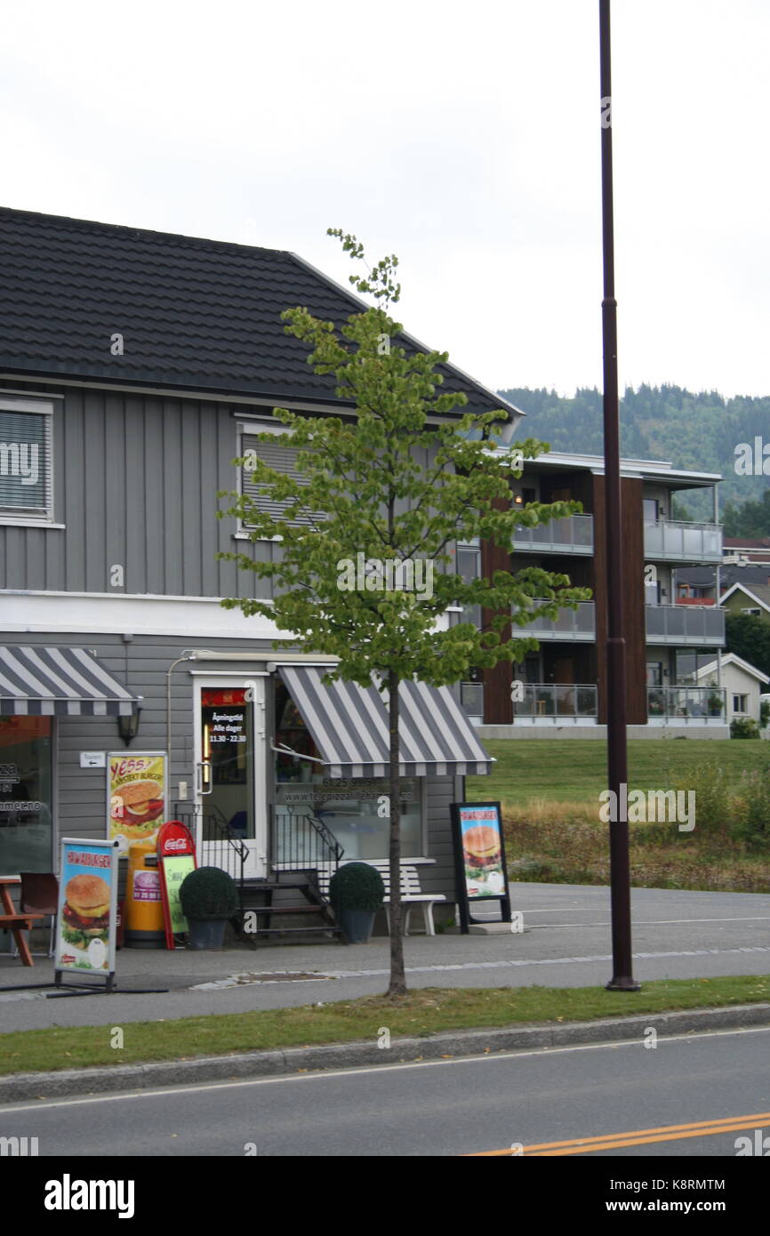 Unsorted plant images (Work in progress Stock Photo - Alamy