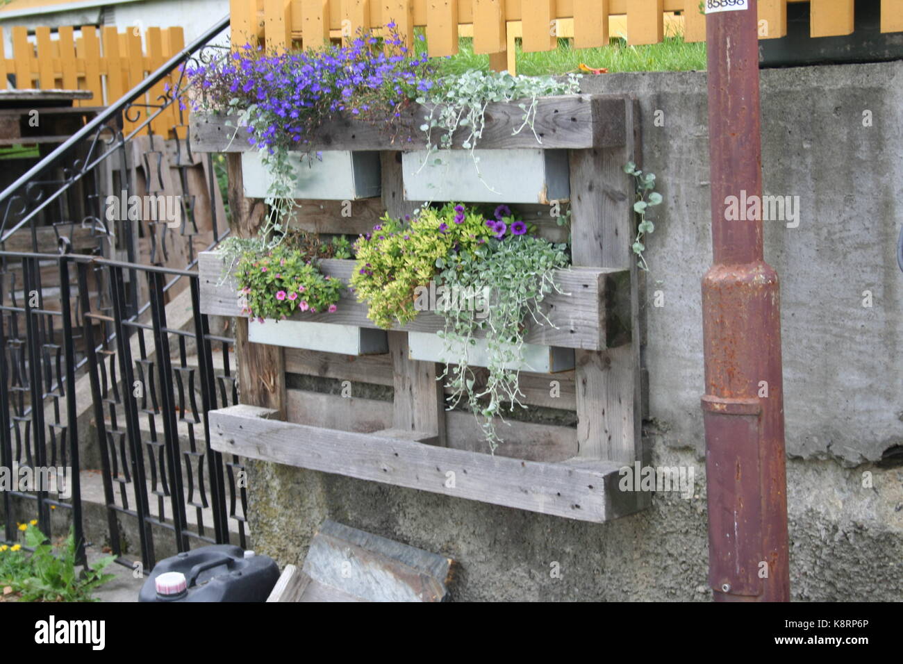 Unsorted plant images (Work in progress Stock Photo - Alamy