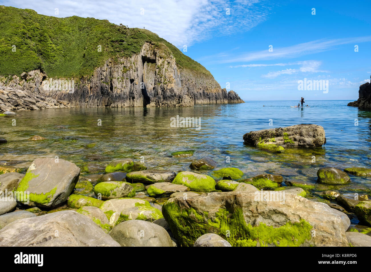 SKRINKLE HAVEN LYDSTEP HEAD Stock Photo - Alamy