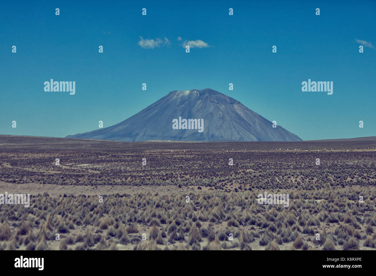 El Misti volcano in Peru and Pampa Canhauas Stock Photo - Alamy