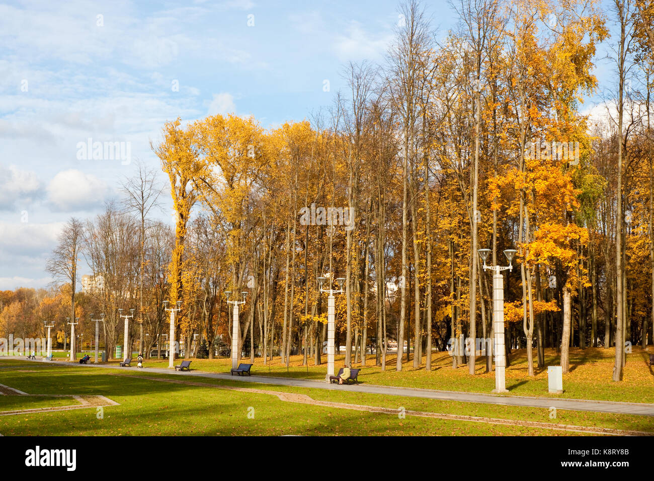 Bright autumn alley in the Victory park, Minsk, Belarus Stock Photo - Alamy