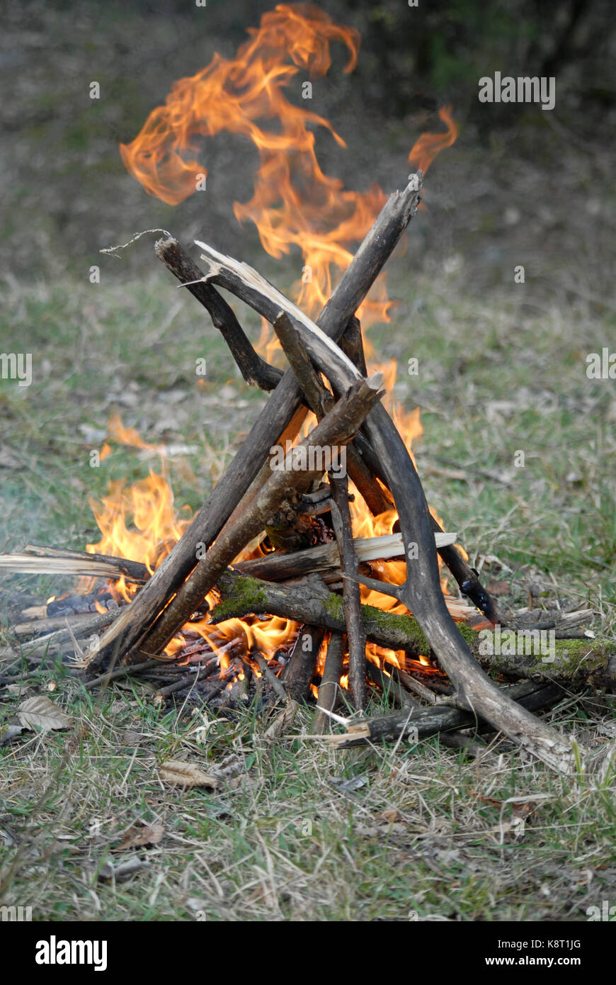 Campfire in the forest. Spring 2007. Daytime Stock Photo - Alamy