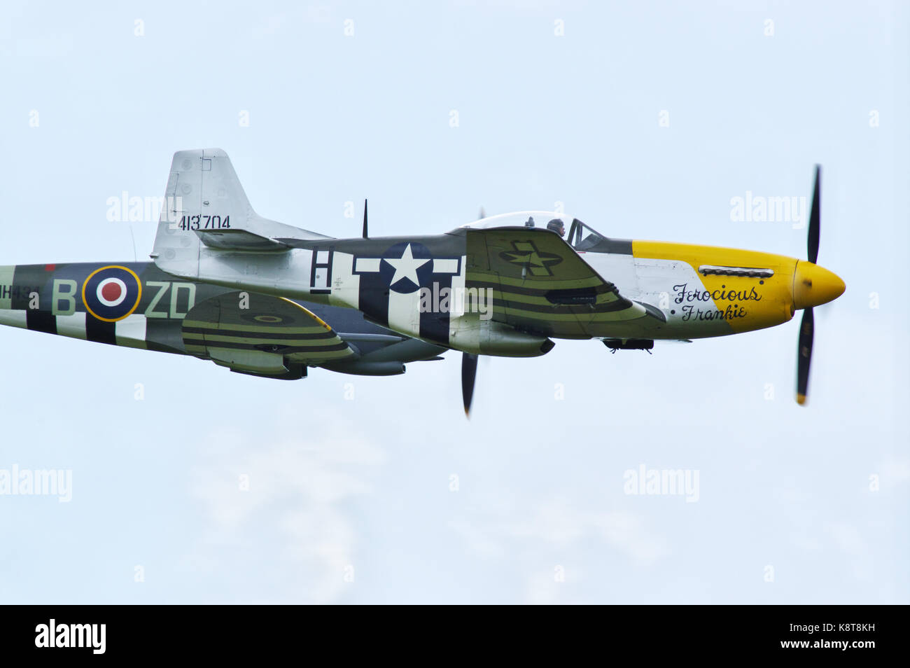 Raf p51 mustang hi-res stock photography and images - Alamy