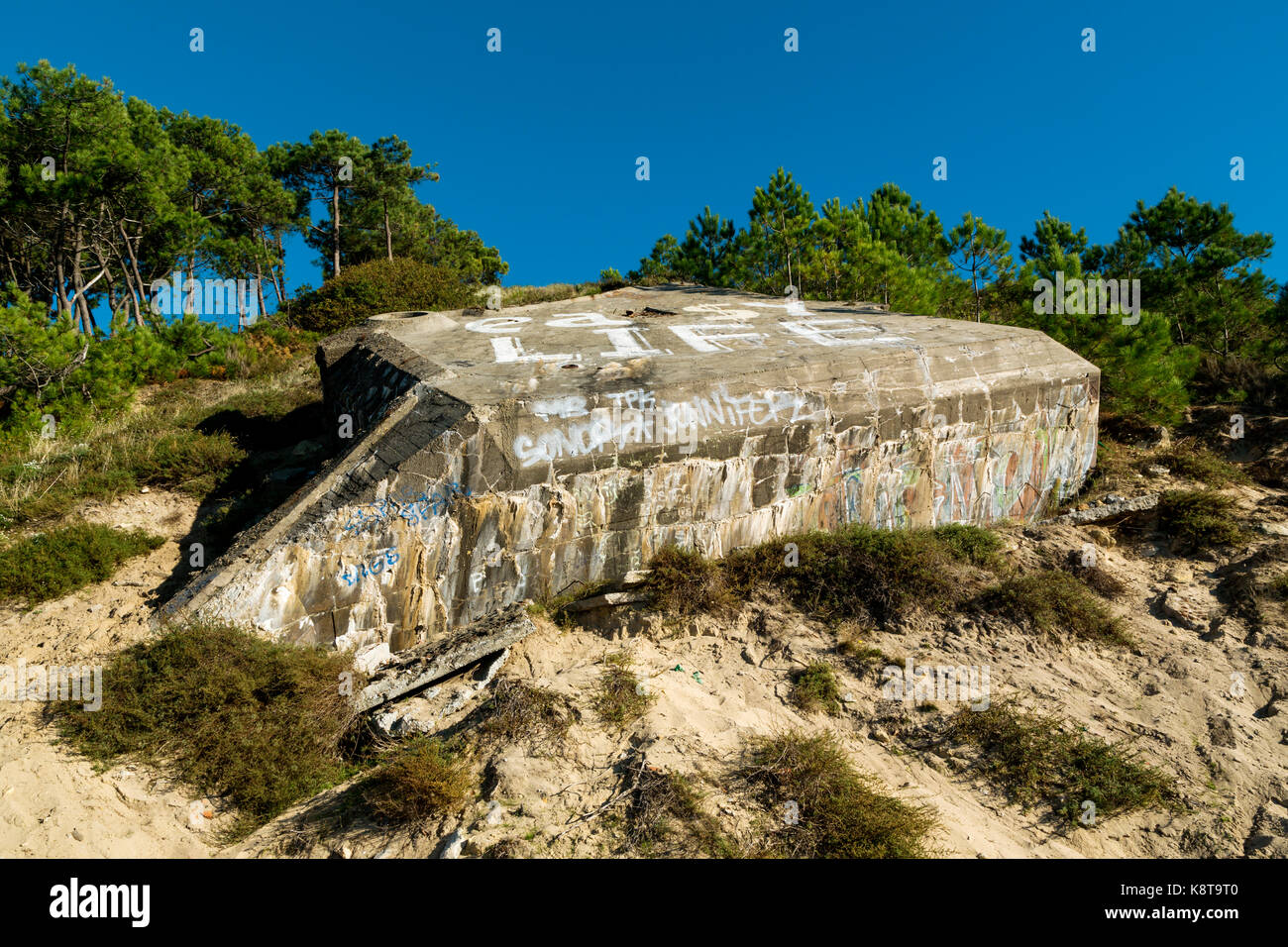 Un bunket dated World War II, ner the Dune of Pilat Stock Photo - Alamy